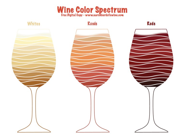 How We See (The Color of Wine) | Aaron Berdofe's Wine and Food Experience